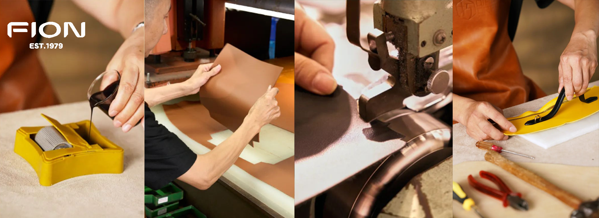 About FION – FION ASIA