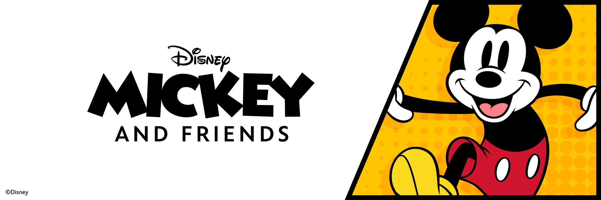 FION ASIA - Official Website